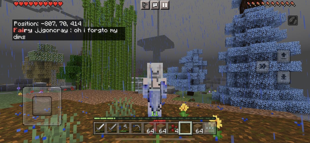 Glitched skin when in servers - MineNest, Mine Nest