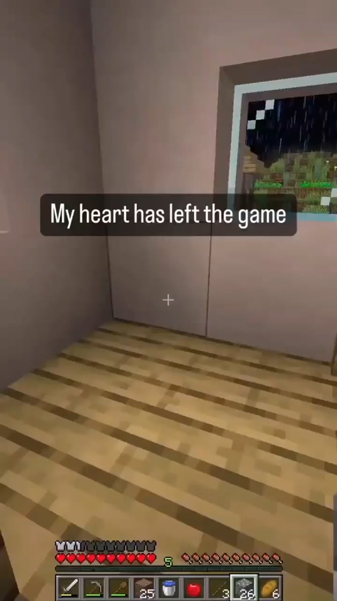 A trauma for every Minecraft player - MineNest, Mine Nest