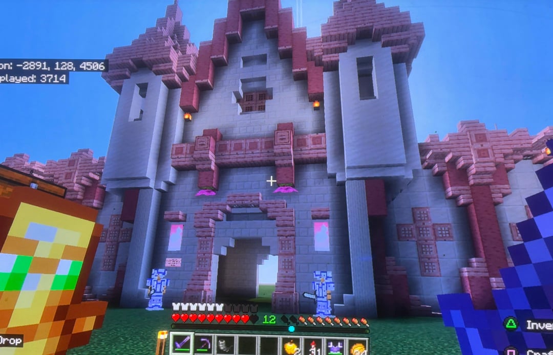 My boyfriend and friend are building me a castle in our realm ...