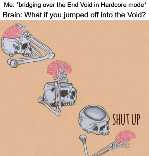 End Void meme - MineNest, Mine Nest