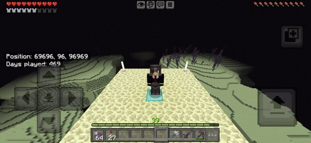 I travelled to these coords in the end - MineNest, Mine Nest