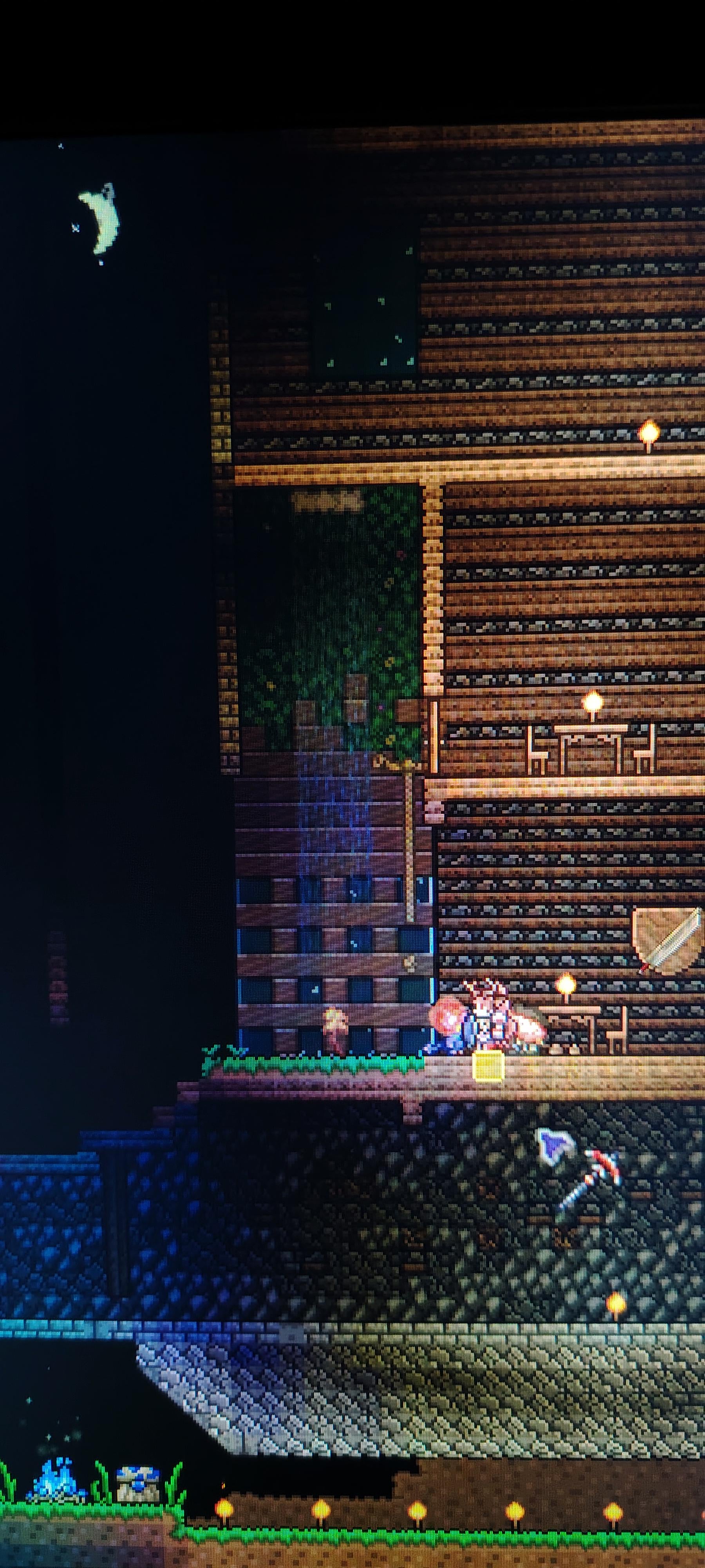 Why is this tree not growing? - MineNest, Mine Nest