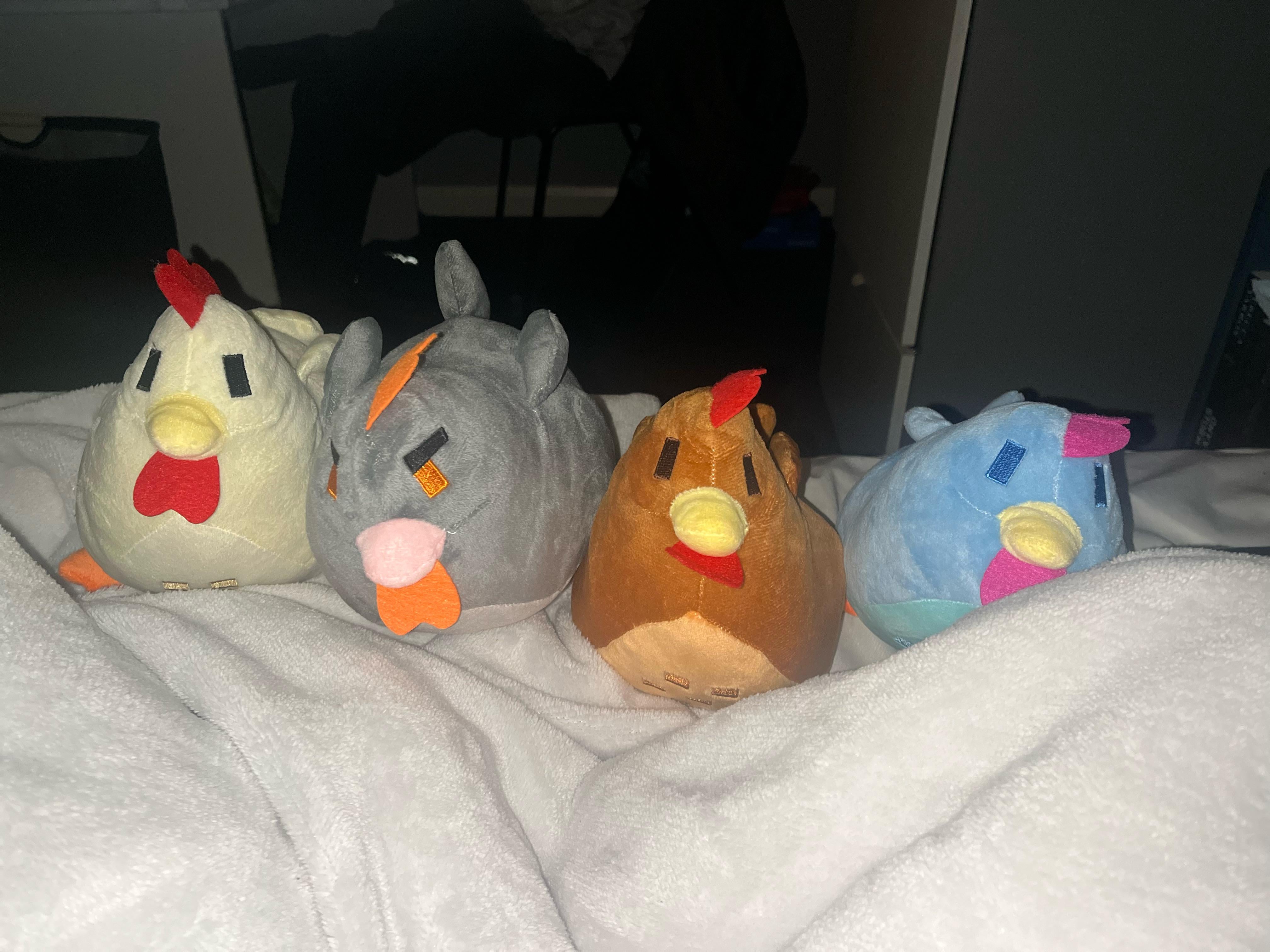 MY PARTNER GOT ME THE CHICKENS - MineNest, Mine Nest
