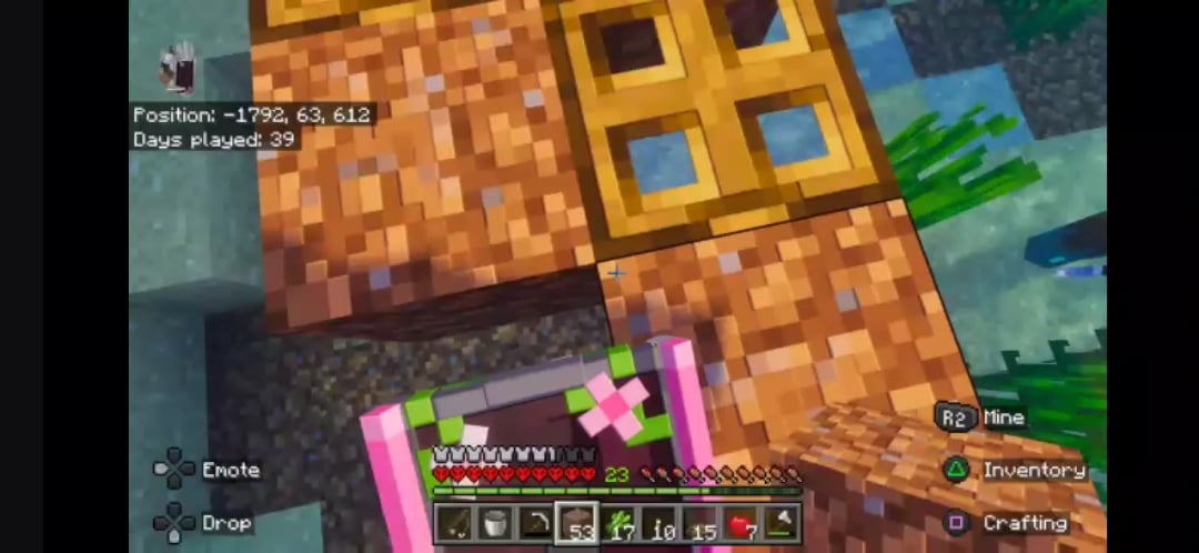 How can this happen - MineNest, Mine Nest