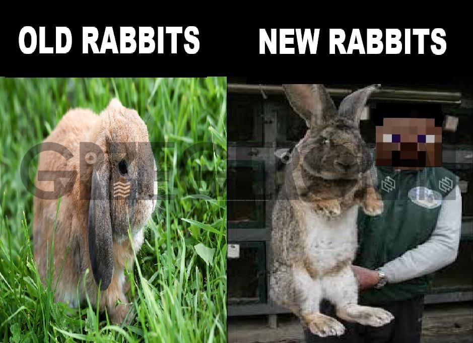 New vs Old Rabbits - MineNest, Mine Nest